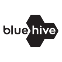 BLUEHIVE BLUEBASS ELITE USER MANUAL Pdf Download | ManualsLib