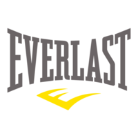 EVERLAST REDSABRE 3000X SAFETY, SETUP, OPERATION & MAINTENANCE MANUAL ...