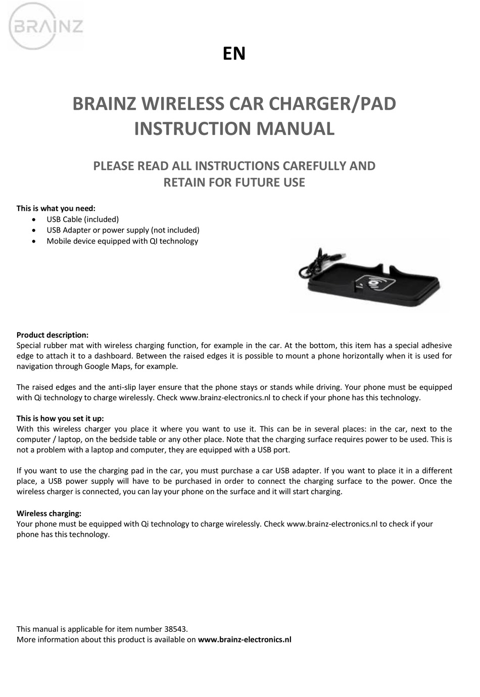 BRAINZ 38543 INSTRUCTION MANUAL Pdf Download | ManualsLib