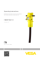 VEGA FIBERTRAC 31 OPERATING INSTRUCTIONS MANUAL Pdf Download | ManualsLib