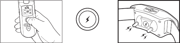 Dog Care Shock Collar TC05 Manual | ManualsLib