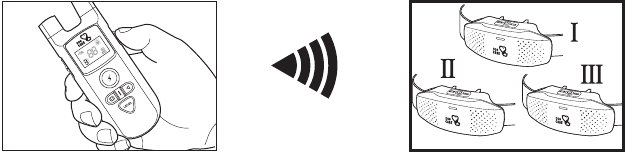 Dog Care Shock Collar TC05 Manual | ManualsLib