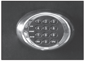 SentrySafe EF4738E / EF3428E Manual | ManualsLib