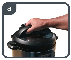 Instant Pot DUO Plus Manual | ManualsLib