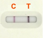 iHealth COVID-19 Antigen Rapid Test Manual | ManualsLib