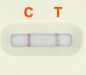 iHealth COVID-19 Antigen Rapid Test Manual | ManualsLib