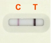 iHealth COVID-19 Antigen Rapid Test Manual | ManualsLib