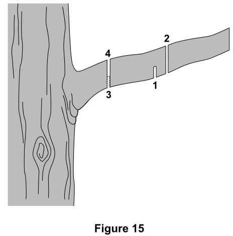 Portland 62896 Electric Pole Saw Manual | ManualsLib