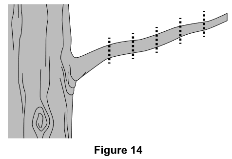 Portland 62896 Electric Pole Saw Manual | ManualsLib