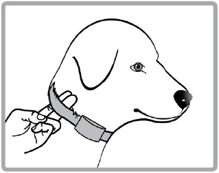 PetSpy M686 Dog Training Collar Manual | ManualsLib