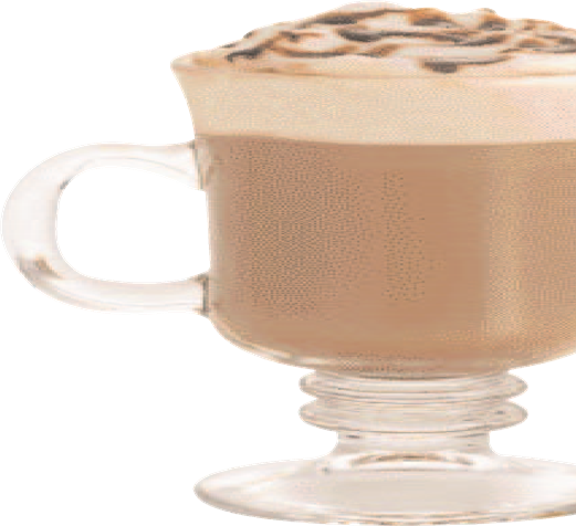 BonJour Primo Latte Manual | ManualsLib