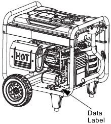 DeWalt DXGNR 6500, DXGNR 8000 Generator Manual | ManualsLib
