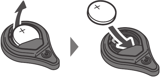 Pokemon GO Plus Manual | ManualsLib