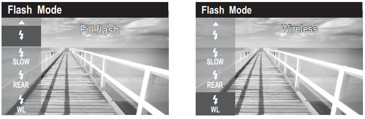 Godox X1 TTL Wireless Flash Trigger Manual | ManualsLib