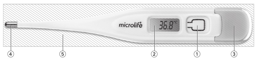 Microlife Digital Thermometer MT 600 Manual | ManualsLib