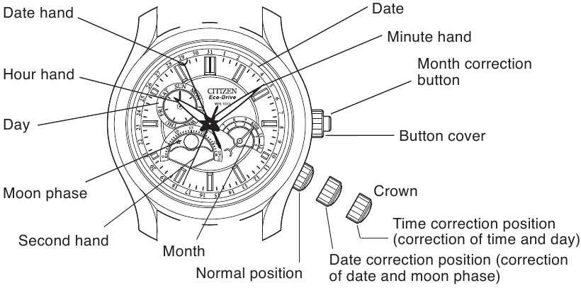 Citizen Eco-Drive CAL 8651 Watch Manual | ManualsLib
