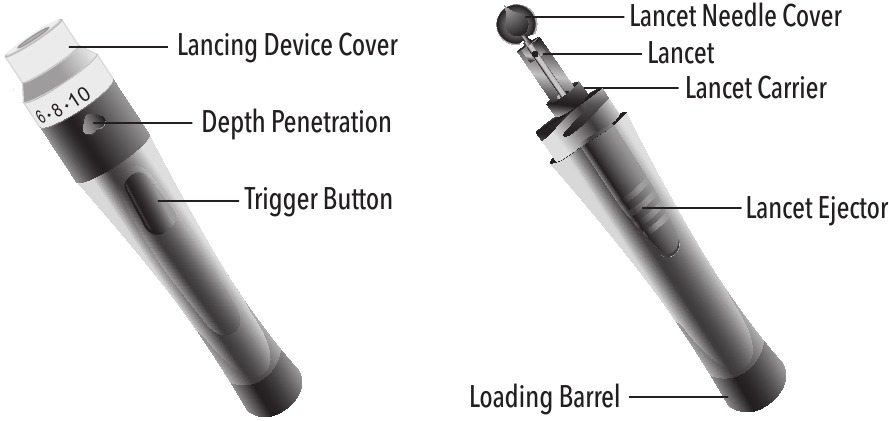 Prodigy AutoCode - Blood Glucose Monitoring System Quick Reference ...