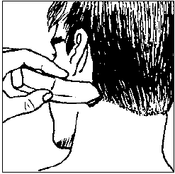 Andis BTF2, BTF - T-Blade Trimmers Manual | ManualsLib