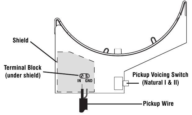 Fishman Ellipse Matrix Blend, Ellipse VT Installation | ManualsLib