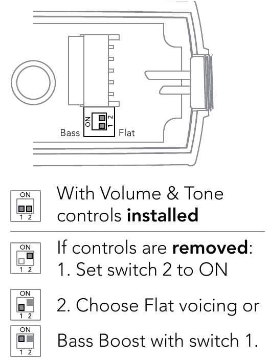 Fishman MATRIX INFINITY - Preamp Installation Guide | ManualsLib