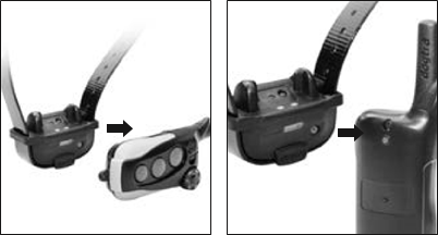Dogtra iQ MINI - Dog System Manual | ManualsLib