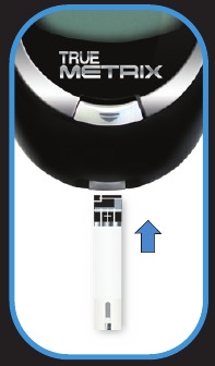 Trividia Health True Metrix - Monitoring Blood Glucose System Manual ...