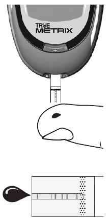 Trividia Health True Metrix - Monitoring Blood Glucose System Manual ...