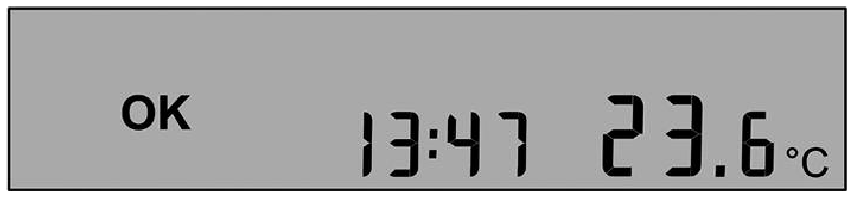 Berlinger Fridge tag - Temperature Data Logger Manual | ManualsLib