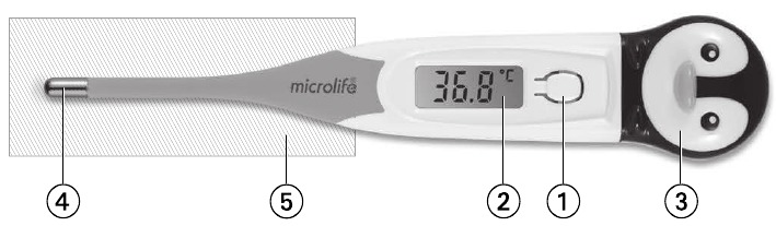 Microlife MT 720 - Thermometer Manual | ManualsLib