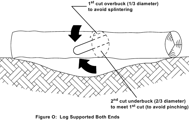 Bauer 19112C-B, 64940 - 20V Cordless 10 in. Chainsaw Manual | ManualsLib