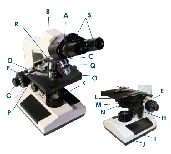 LW Scientific Revelation III LED - Microscope Manual | ManualsLib