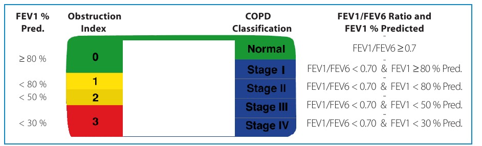 Vitalograph copd-6 - COPD Screener Quick Start Guide | ManualsLib