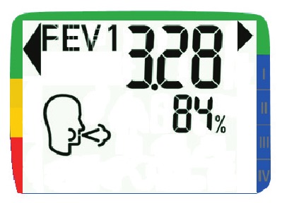 Vitalograph copd-6 - COPD Screener Quick Start Guide | ManualsLib
