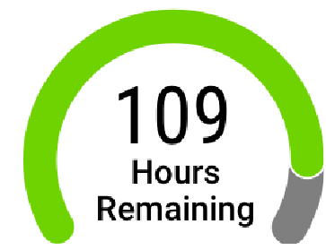 VitalConnect VitalPatch, VistaPhone MKT-198 Rev.C (June 2023) Quick ...