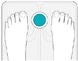 Fitbit Aria 2 - Wireless Smart Scale Manual | ManualsLib