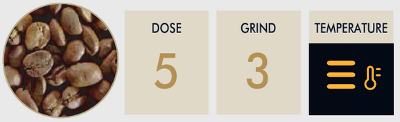 DeLonghi La Specialista Arte, EC9155MB - COFFEE MAKER Manual | ManualsLib