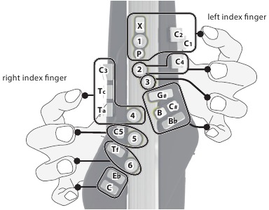 Roland Aerophone Pro AE-30 - Digital Wind Instrument Manual | ManualsLib