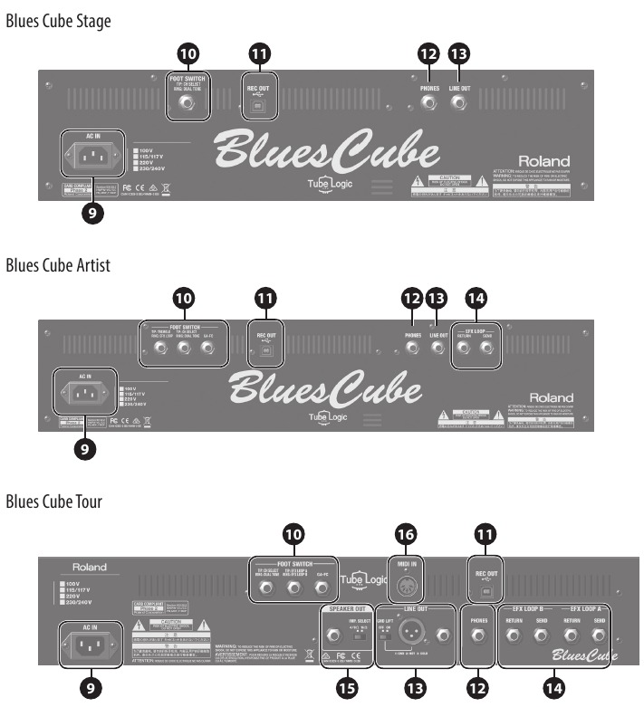 Roland Blues Cube Stage, Blues Cube Artist, Blues Cube Tour - Guitar ...