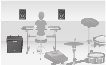 Roland CM-110, CM-220 - CUBE Monitor Manual | ManualsLib