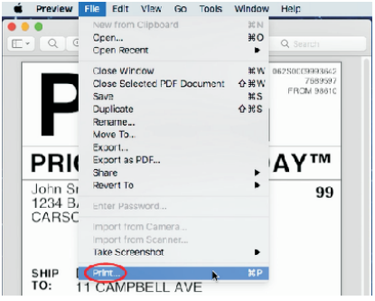 Phomemo PM-246 - Printer Quick Start Guide | ManualsLib