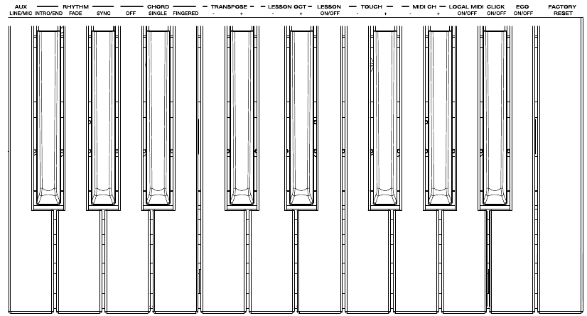 Alesis Recital Play - Digital Piano Manual | ManualsLib