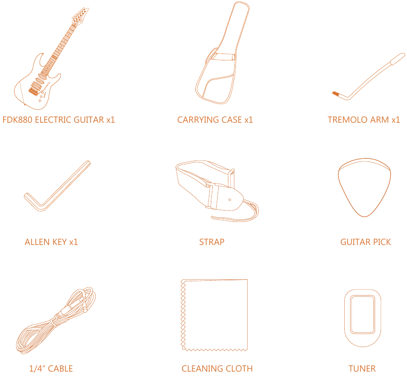 Fesley FDK800 - Electric Guitar Manual | ManualsLib