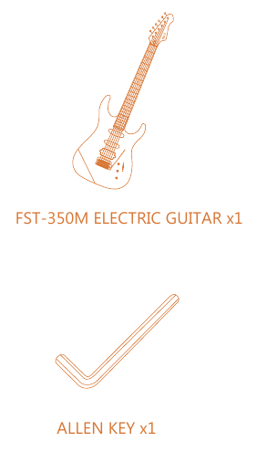Fesley FST-350M - Electric Guitar Manual | ManualsLib