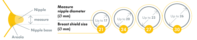 Medela Swing Maxi - Breast Pump Manual | ManualsLib