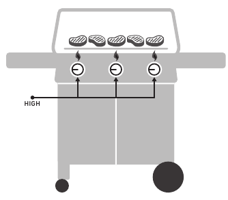 Weber GENESIS II E-335, S-335, SE-335 - Grill Manual | ManualsLib