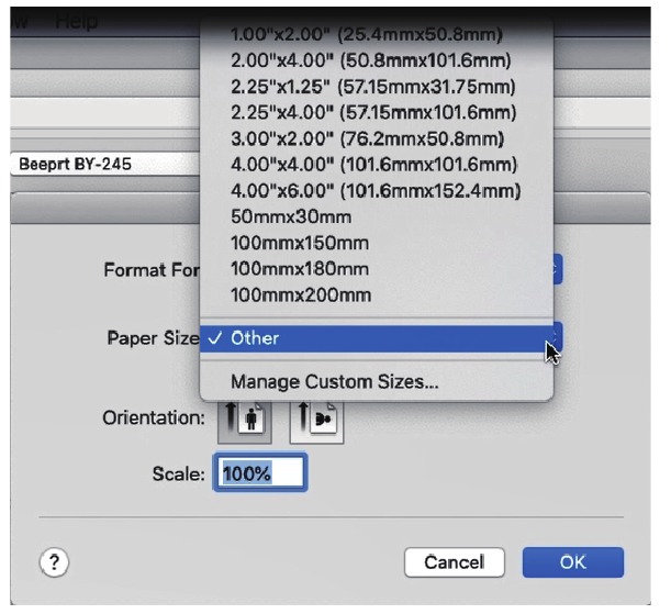 JADENS 426BT - Printer Manual | ManualsLib
