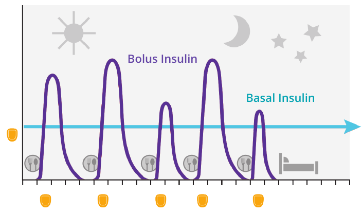 OmniPod 5 - Insulin Delivery System Manual | ManualsLib