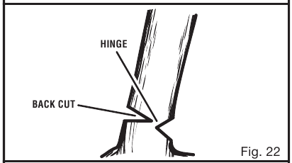 Ryobi RY3714, RY3716 Manual | ManualsLib