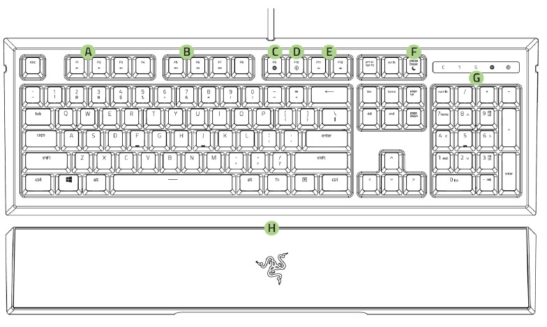RAZER ORNATA CHROMA Manual | ManualsLib