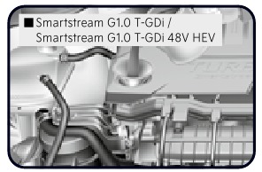 Kia Rio 2022 Manual | ManualsLib